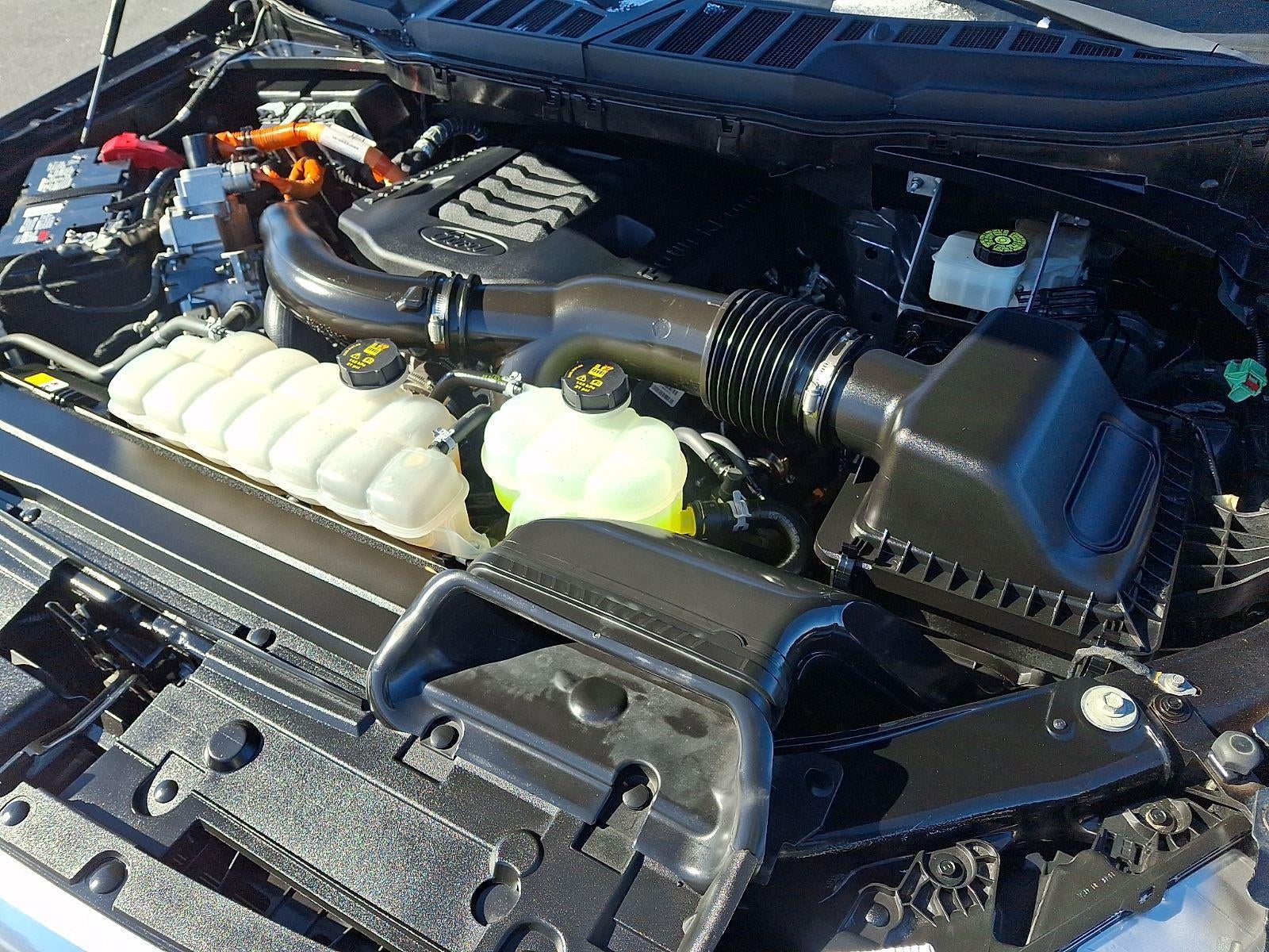 2023 Ford F-150 Platinum Pittsville, MD MD | Salisbury, MD Ocean City ...